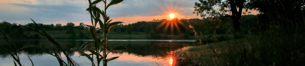 DR. JON MINTER – SAVE A WARRIOR™