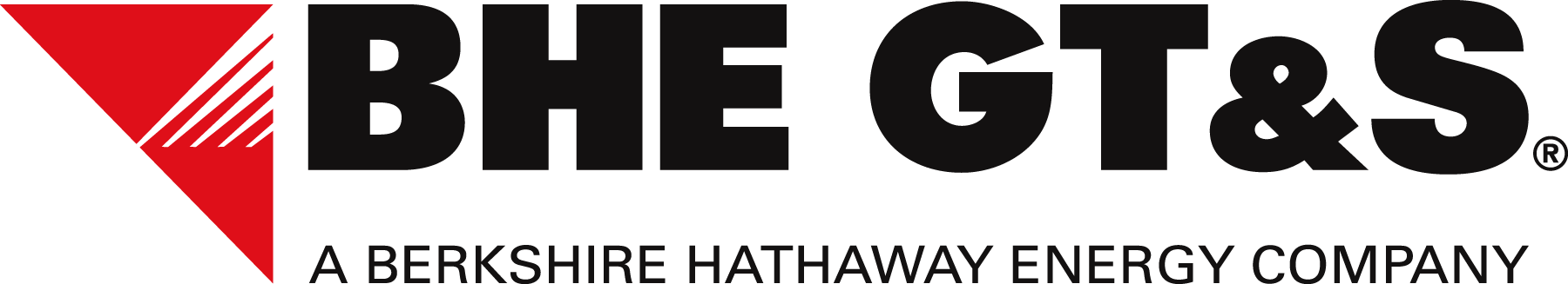 PARTNERS – SAVE A WARRIOR™